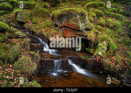 UK,Derbyshire,Peak District,Longshaw Estate,Stone Path leading to Lone ...