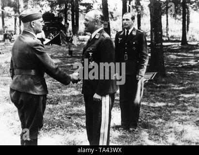Field-Marshal General Albert Kesselring, in command of the German ...