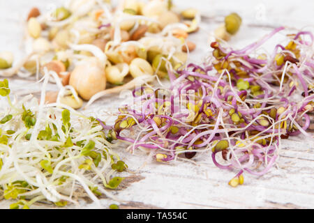 Different types of healthy sprouts containing natural vitamins and ...