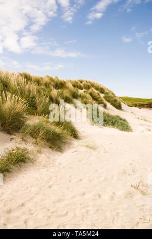 Spiggie Beach in Shetland Isles, North of Scotland UK Stock Photo - Alamy