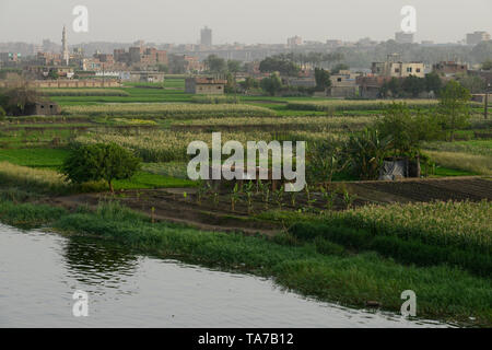 Nile River Egypt Farm Farmer agriculture field old village on the Stock ...