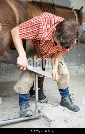 Farrier rasping a hoof. Austria Stock Photo - Alamy
