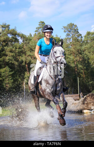 Trakehner. Rider on juvenile grey horse clearing an obstacle during a ...