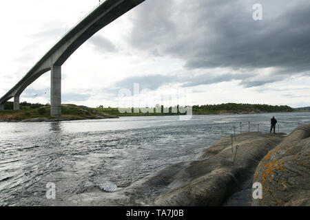 under the bridge at saltstraumen in norway Stock Photo - Alamy