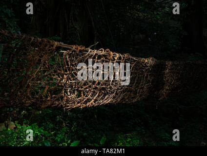 Liana bridge in the forest, Tonkpi Region, Man, Ivory Coast Stock Photo ...