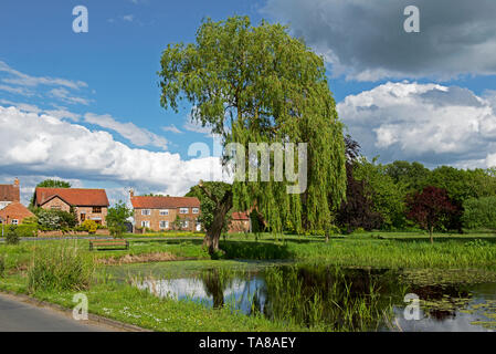 The village pond, Skipwith, North Yorkshire, England UK Stock Photo - Alamy