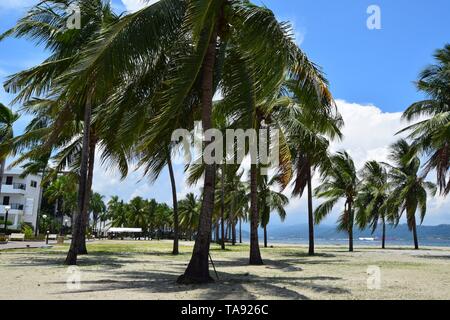 Subic Bay Boardwalk in Philippines Stock Photo - Alamy