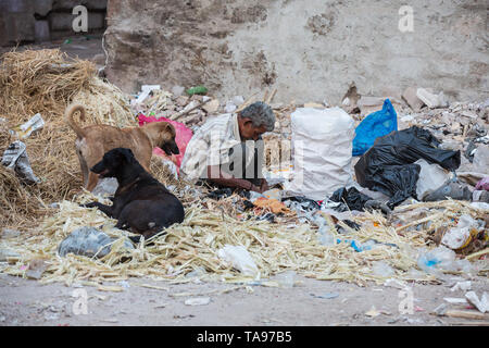 Garbage collector in India Stock Photo - Alamy