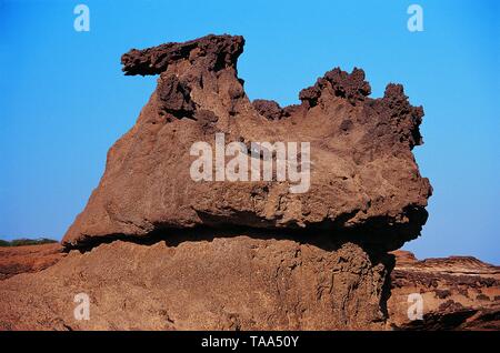 Duck like Sea Stack Observing Surrounding area Saurashtra, Gujarat ...