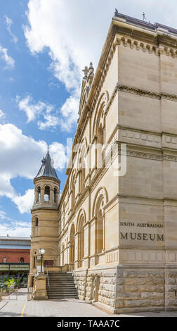 South Australian Museum in Adelaide city Stock Photo - Alamy