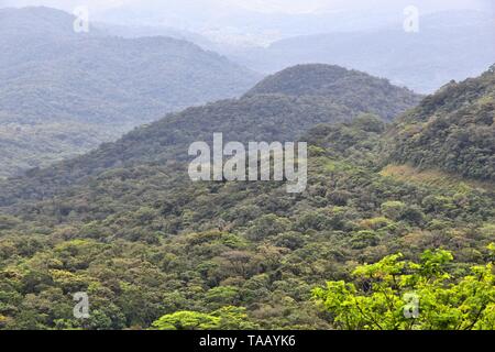 Jungle covered mountains in Brazil - Serra Verde landscape Stock Photo ...