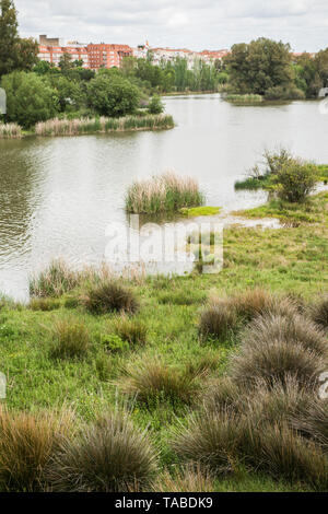 Merida, Spain, May 2019 Stock Photo - Alamy