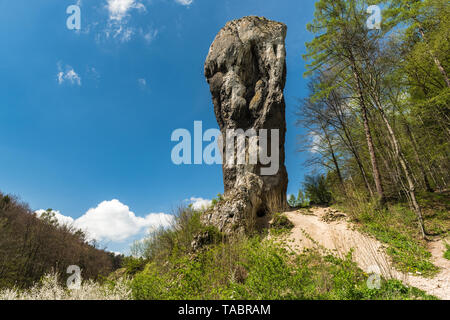 Limestone monadnock, rock called Maczuga Herkuklesa (Hercules cudgel or ...