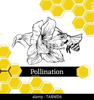 Pollination hand drawn vector illustration. Bumblebee and blooming ...