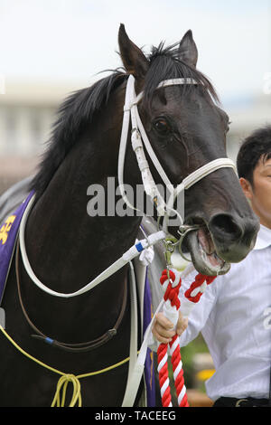 Kyoto, Japan. 18th May, 2019. (L-R) Smart Rachel (Manabu Sakai ...