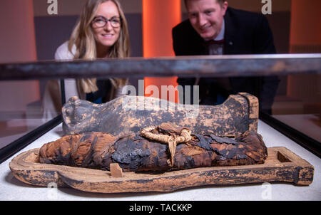 Wittenburg, Germany. 24th May, 2019. The detail of a two thousand year ...