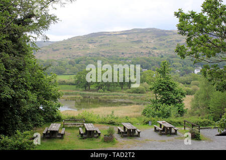 Ynys Hir RSPB reserve, Dyfi valley, Ceredigion, Wales Stock Photo - Alamy
