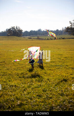 cute girl running with kite in green field in sunny autumnal day Stock ...