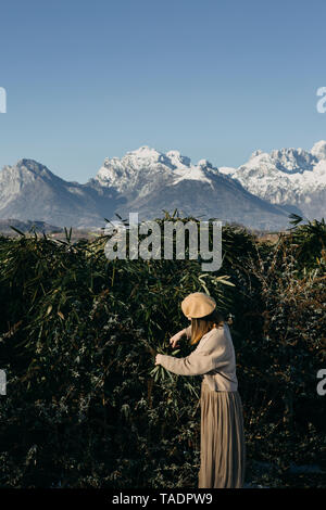Side view of woman cutting twig with scissors Stock Photo - Alamy