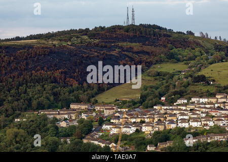 Pictured: The area that was burned on Kilvey Hill over the Saint Thomas ...