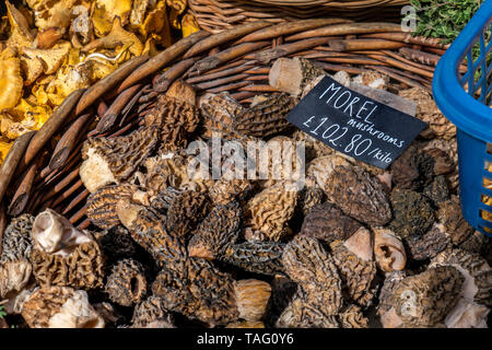 morels uk