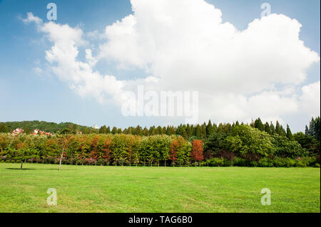 Grand Turf, Zhongshan Park, Qingdao, China Stock Photo - Alamy