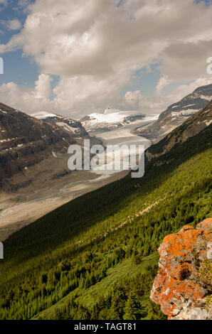 Parker Ridge, Icefields Parkway, Banff National Park, Alberta, Canada ...