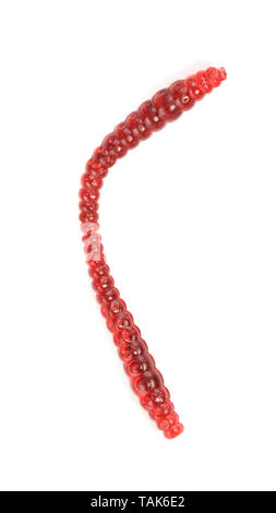 Soft Plastic EarthWorm toy Stock Photo - Alamy
