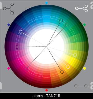 Circle Color Palette Guide Spectrum Vector Stock Vector Image & Art - Alamy