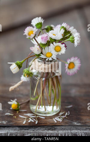 Little bunch of fresh daisies in a small bottle Stock Photo - Alamy