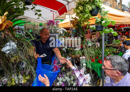 Columbia Road flower market London's famous Sunday morning flower ...