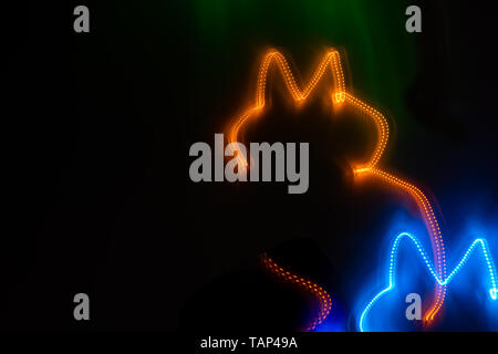 A cat illuminated by a ray of light on a yellow sofa Stock Photo - Alamy