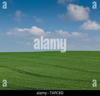 Colorful landscape with agriculture fields at the Danish countryside ...