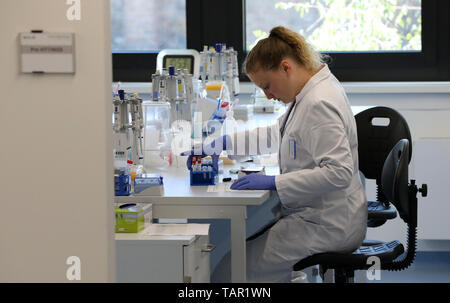 Rostock, Germany. 23rd May, 2019. The laboratory for DNA preparation in ...