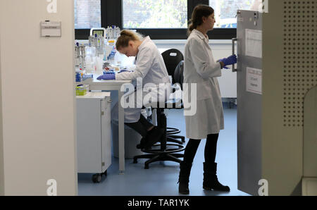 Rostock, Germany. 23rd May, 2019. The laboratory for DNA preparation in ...