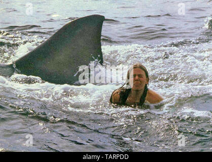 JAWS 2 1978 Universal Pictures film with Gary Dubin and Ann Dusenberry Stock Photo - Alamy