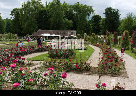 Roseraie du Val-de-Marne L'Hay-les-Roses (near Paris) France Stock ...