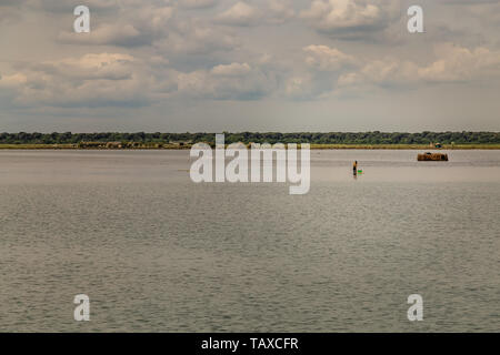 men fishing clams in brackish lagoon in Marina Romea, Italy Stock Photo ...