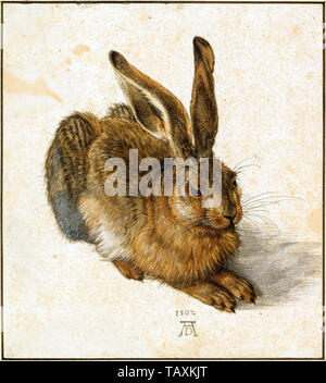 Albrecht Dürer, Durer or Duerer, German painter, printmaker, and ...