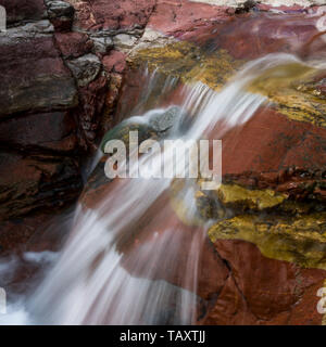 Red Rock Canyon in Waterton Lakes National Park, Alberta, Canada Stock ...