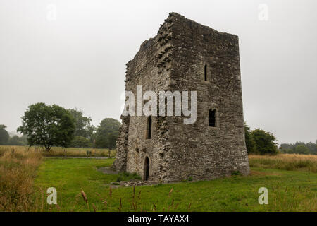 Threecastles Castle is a National Monument situated in Blessington ...