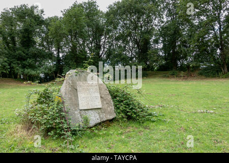 The Rath of Mullaghmast, an ancient mound in Co. Kildare, Eire Stock ...