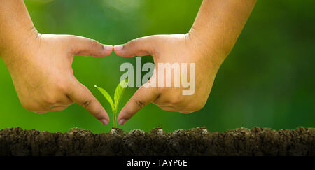 Planting trees, loving the environment and protecting nature Nourishing ...