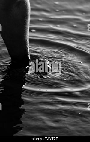 Amateur Spa treatment (mud baths, balneotherapeutic) is in a plastic ...