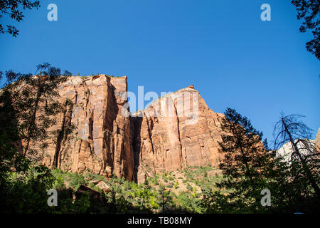 The Watchmen, red rock formations with blue sky in Zion National Park ...
