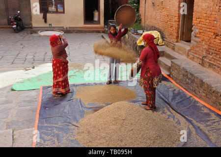 Women winnowing harvested rice in courtyard between buildings ...