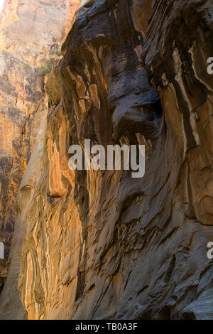 Sun shines golden on rock wall in slot canyon in The Narrows, Zion ...