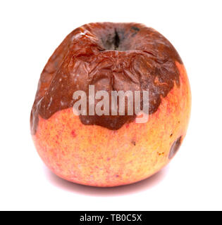 badly rotten apple on a white background Stock Photo - Alamy