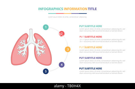 human lungs anatomy infographic template concept with five points list ...