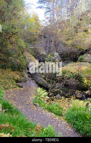 Entrance to the Burn o' Vat, a glacial pothole, Muir of Dinnet National ...